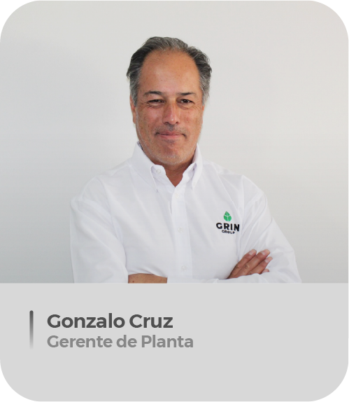 ¿Quiénes somos? – Grin Group