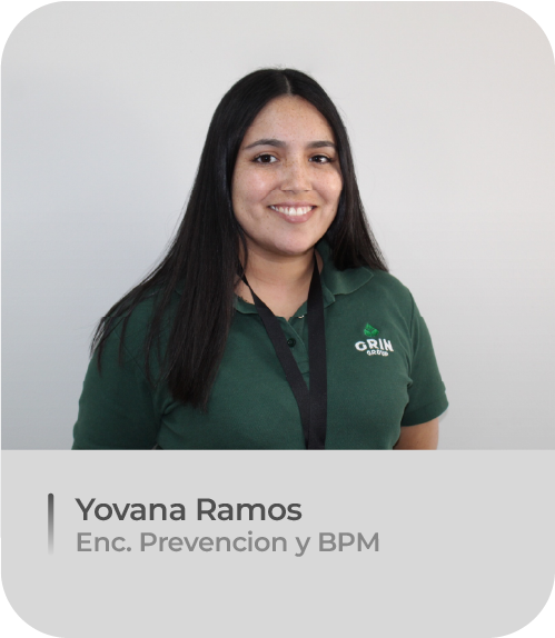 ¿Quiénes somos? – Grin Group