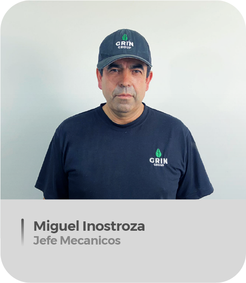 ¿Quiénes somos? – Grin Group